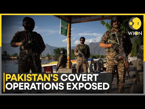 FATF Flags Pakistan for Ballistic Missile Development, India May Push for Sanctions | WION