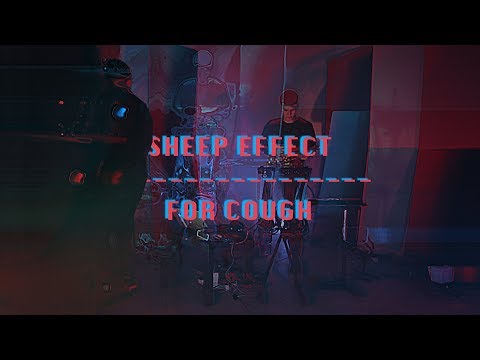 Sheep Effect - Songs, Events and Music Stats | Viberate.com