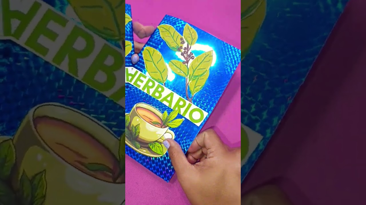 Te enseño hacer un HERBARIO a mano paso a paso ⤵️ #herbario