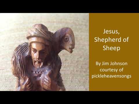 Jesus, Shepherd of Sheep – Pickle Heaven Press-James R. Johnson