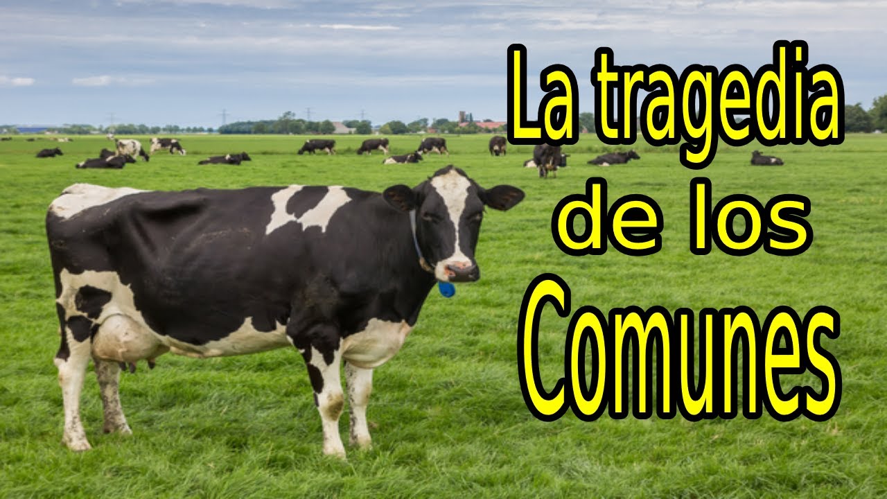 ¿cuál Es La Mejor Definición De La Tragedia De Los Comunes Acut Net