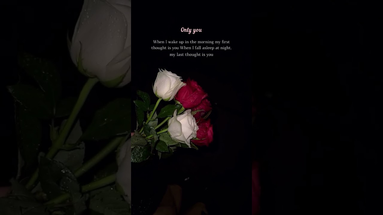 Beautiful Love Quotes 💖 Words That Touch the Heart