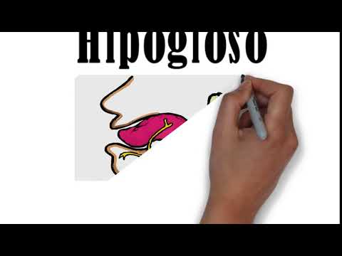 Spanish Medical Interpreter-Spanish Medical Terminology-How to Pronounce hypoglossal in Spanish?