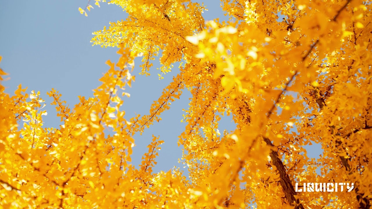 Alpha Rhythm - Cloudgazing (ft. Dustkey)