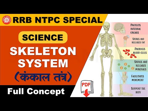 Human Skeletal System Video Lecture - Crash Course for SSC MTS / SSC GD ...