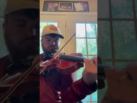 Beautiful Shell Maple Guarneri Del Gesu model Violin 4/4 | Reverb