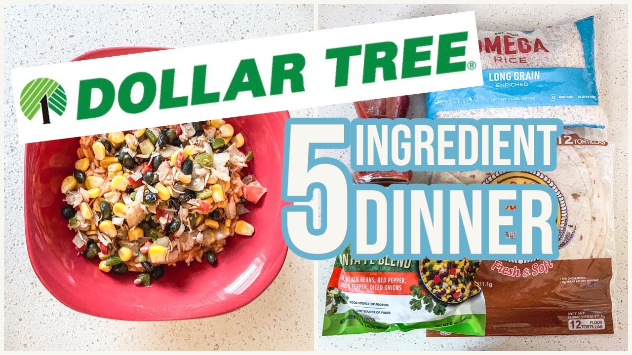 DOLLAR TREE 5 INGREDIENT DINNER | Dollar Tree Meals 2022