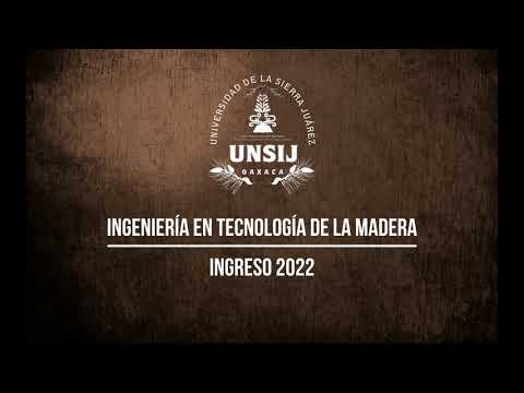 ¿𝗣𝗼𝗿 𝗾𝘂𝗲́ 𝗲𝘀𝘁𝘂𝗱𝗶𝗮𝗿 𝗜𝗻𝗴𝗲𝗻𝗶𝗲𝗿𝗶́𝗮 𝗲𝗻 𝗧𝗲𝗰𝗻𝗼𝗹𝗼𝗴𝗶́𝗮 𝗱𝗲 𝗹𝗮 𝗠𝗮𝗱𝗲𝗿𝗮?