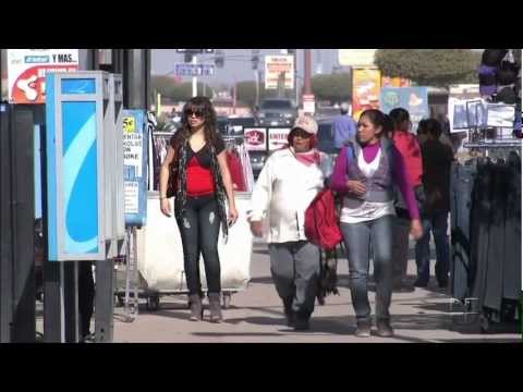 Should English be the official language of the United States?