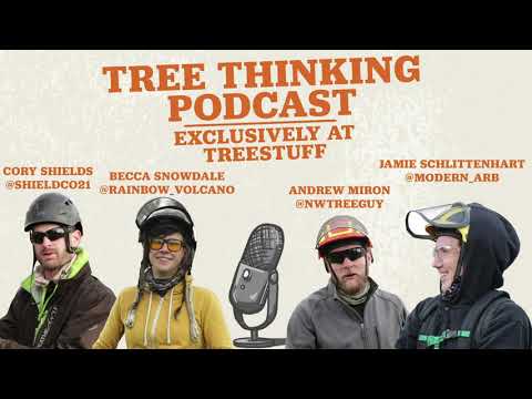 What is an Arborist - Tree Thinking Podcast - TreeStuff