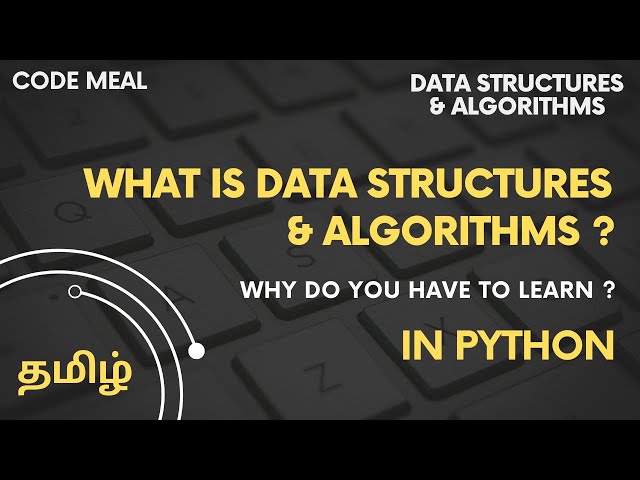 Understanding Data Structures and Algorithms in Python: A Comprehensive Guide | Galaxy.ai