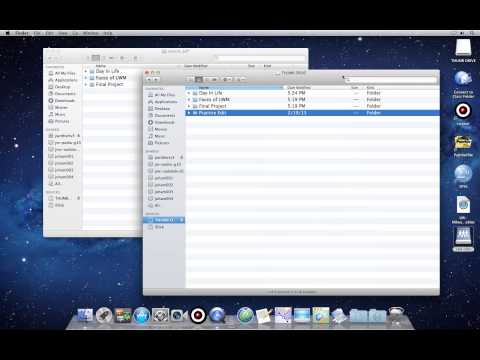 File and Folder Management