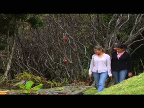 Costa Rica - Dantica Lodge & Gallery