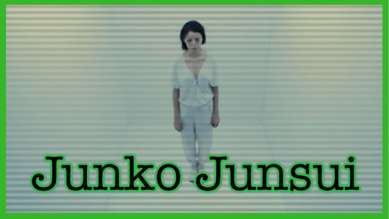 The Internet's Most Controversial ARG | Junko Junsui
