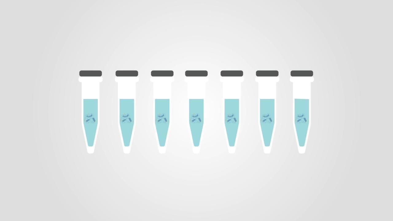 Tips and tricks: Phospho Western Blots