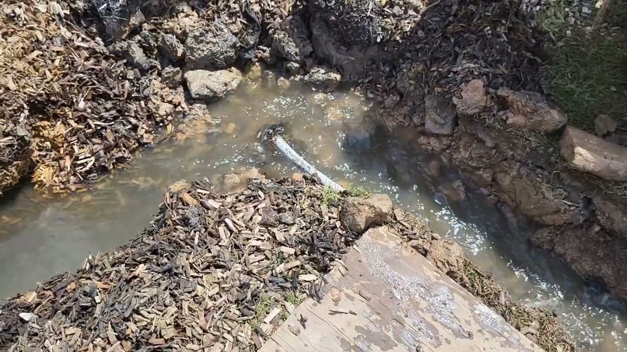 Commercial Yard Drainage
