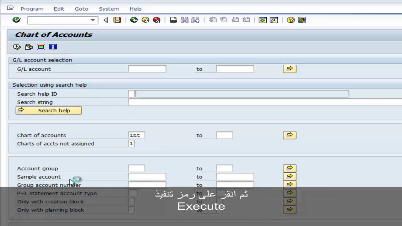 SAP TERP10 Exercise 02 Task01 Arabic