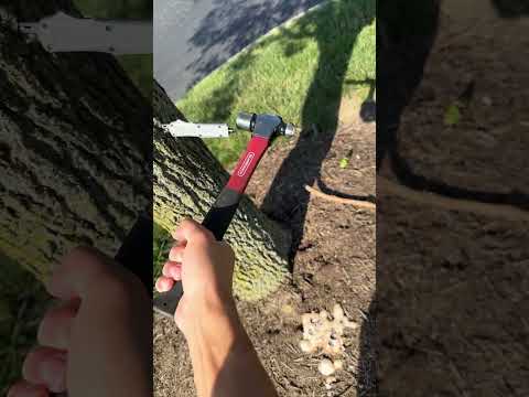 COBRATECH OTF KNIFE TORTURE TEST