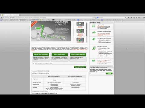 How to Order PrimePCR™ Assays - Primers, Probes, and Panels