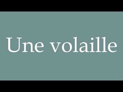 How to Pronounce ''Une volaille'' (A poultry) Correctly in French