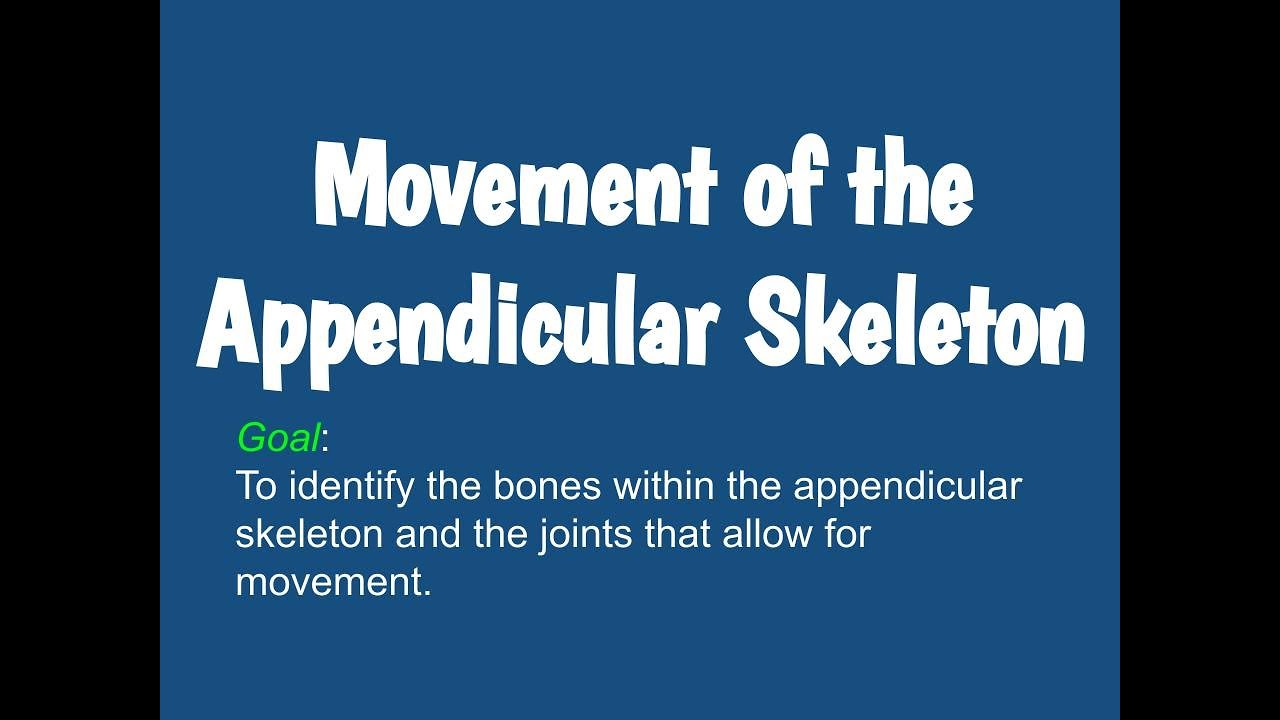 3.5- Movement of the Appendicular Skeleton