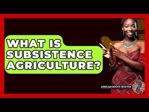 What Is Subsistence Agriculture? - African Roots And Routes