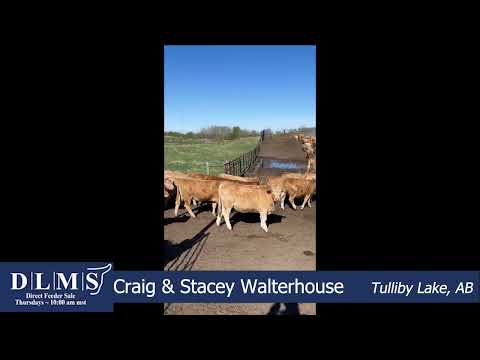DLMS Direct - Craig & Stacey Walterhouse - Hfrs