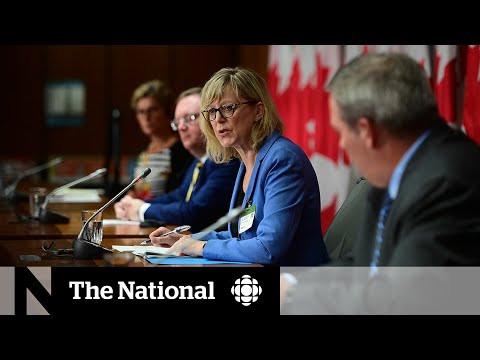 Hackers used stolen passwords to breach CRA accounts: government