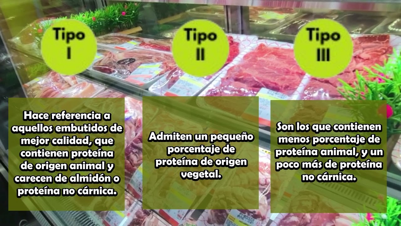 YouTube Clasificación de Embutidos