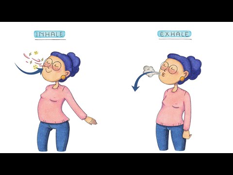 American Sign Language ASL Video Dictionary - expiration