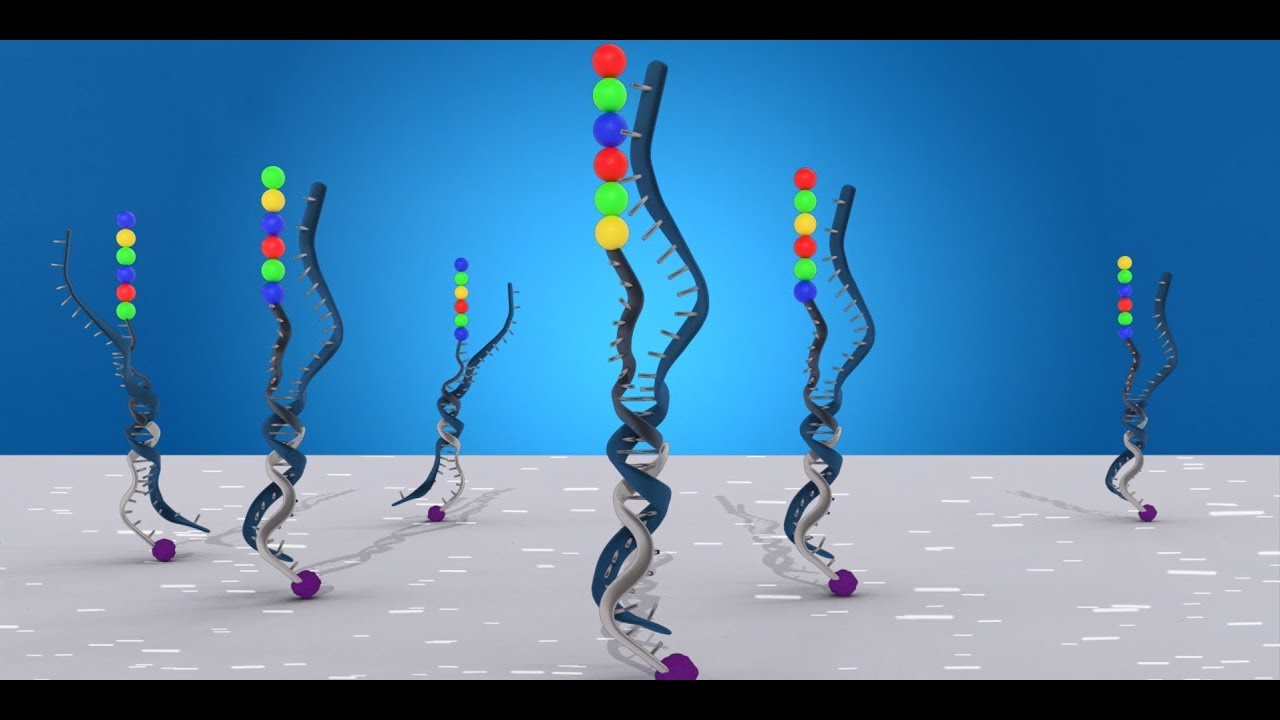 nCounter® Systems for RNA, DNA, or Protein Targets | NanoString