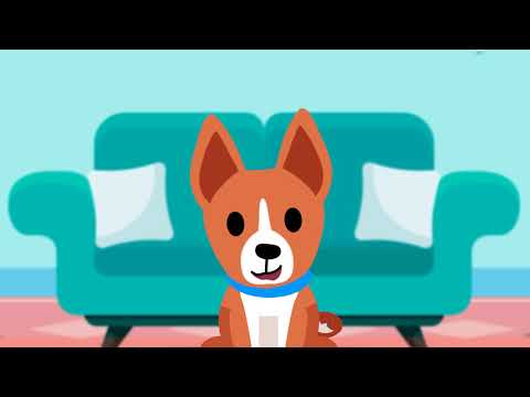 NausX Anti-Motion Treatment and Preventative for Dogs