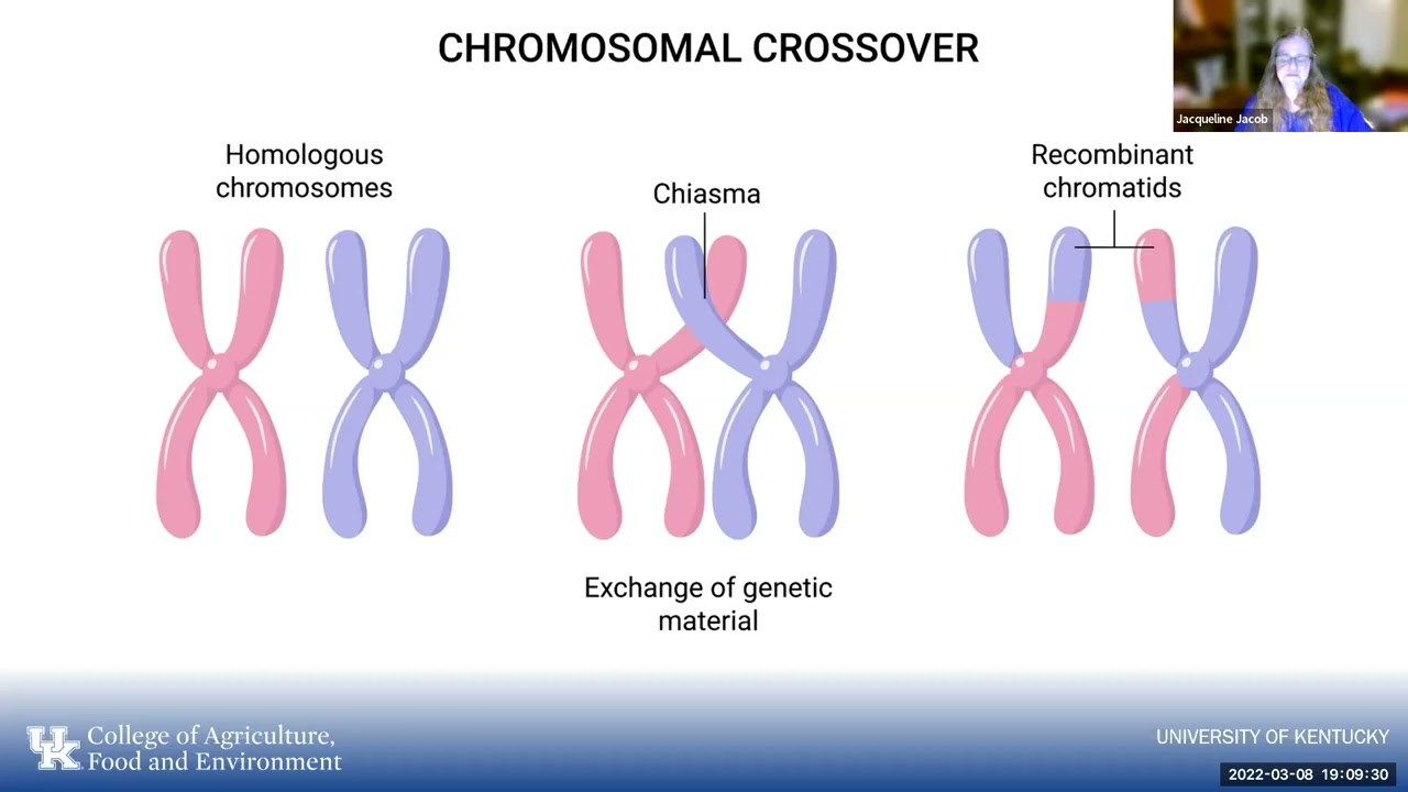 Introduction to poultry genetics