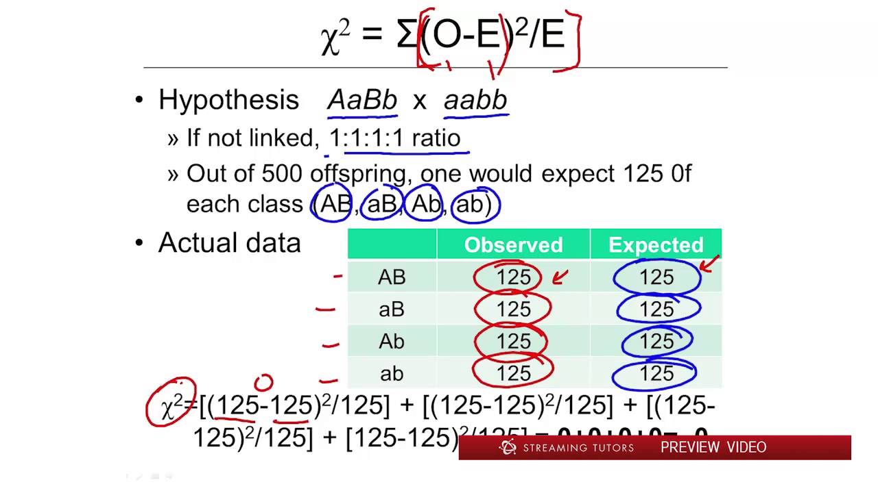Linkage and Mapping   The Chi Square Test tutorial