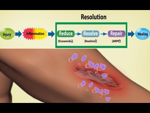 Animated abstract: Dietary Technologies to Optimize Healing from Injury ...