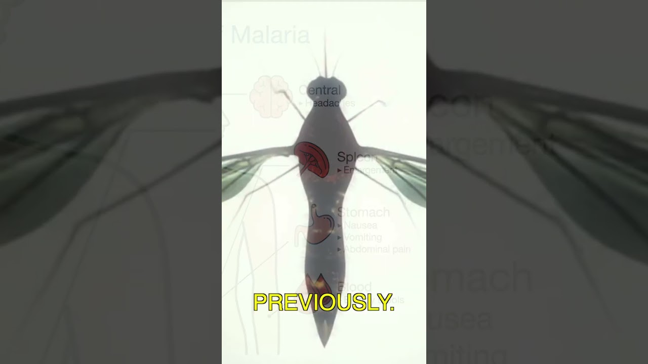 The Man Who discovered the link between Mosquitoes and Malaria.