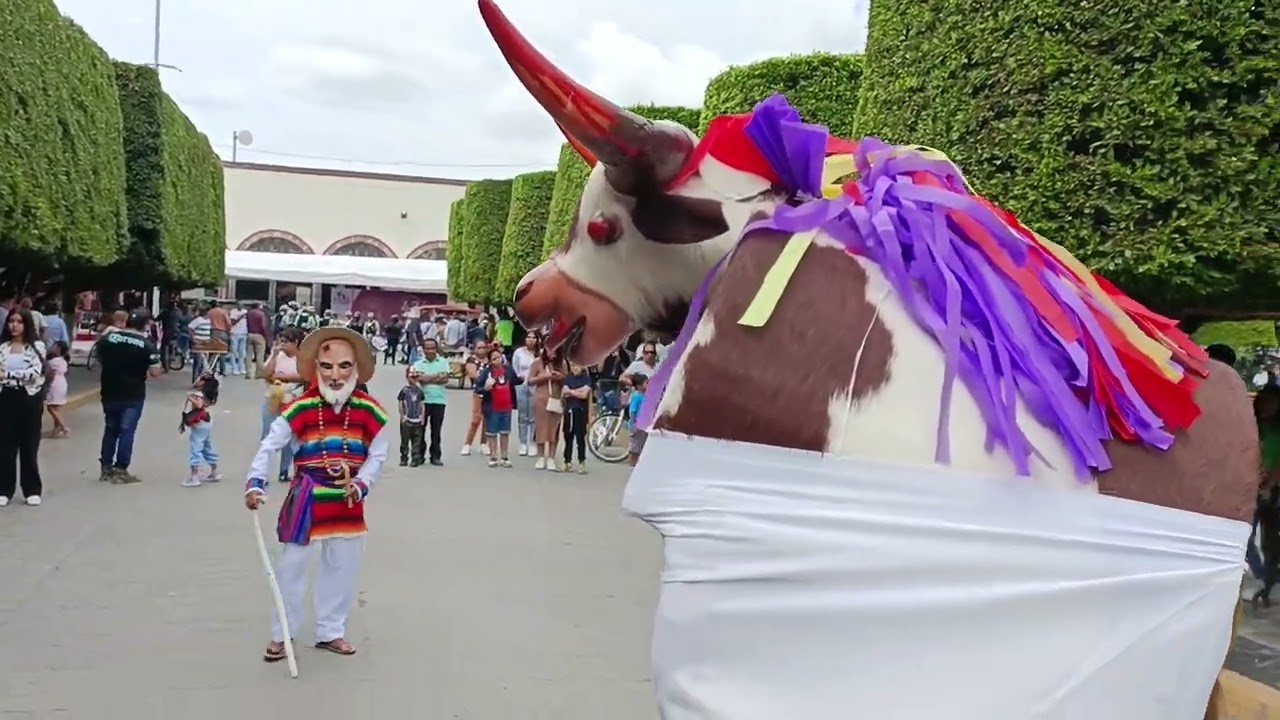 La Danza del Torito de Silao, Guanajuato; México 💓