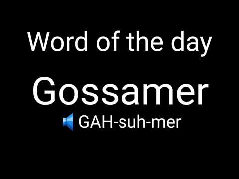 Word of the day | Gossamer | Pronunciation | Meaning | English | Invisible ππππππππππππππππππππππππ