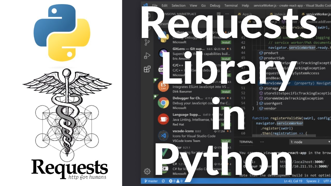 How to Use the Requests Library in Python | HTTP Requests Tutorial