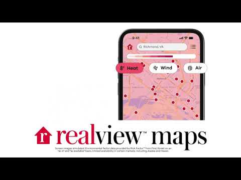 RealView Maps