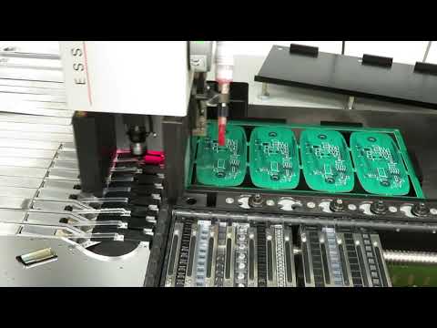 MVI 1421