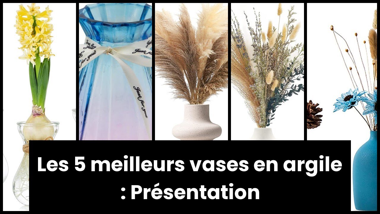 【Vases en argile】Les 5 meilleurs vases en argile : Présentation
