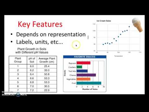 Data Analysis & Interpretation