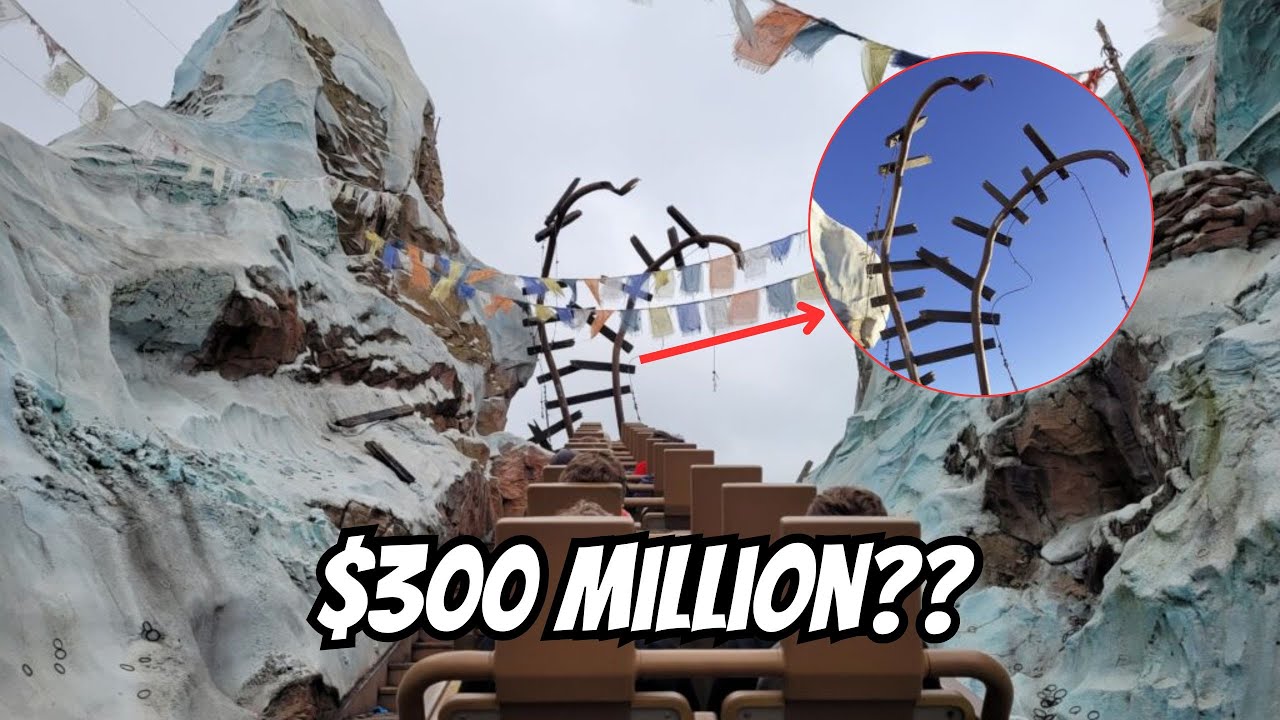 Top 10 Most EXPENSIVE Roller Coasters Ever BUILT!!!