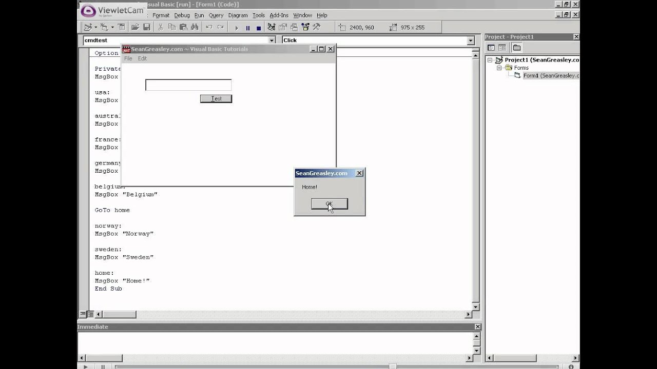 Visual Basic (VB) Tutorial - 7.1 - Goto Command [TutorialGenius.com]