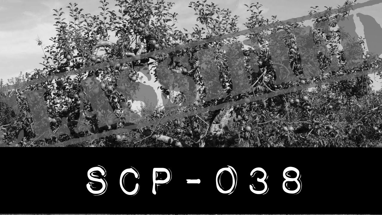 SCP-038