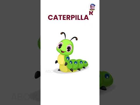WORDS STARTING WITH ALPHABET C | EDUCATIONAL VIDEO FOR PRESCHOOLERS AND KINDER GARDEN KIDS |ABC KIDZ