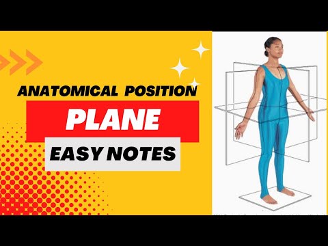 human anatomical position anatomical planes and turm in relation to trunk #anatomy #shorts