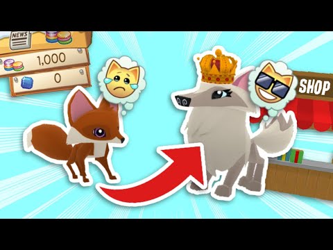 How to Get a SHOP & Earn Sapphires as a NEW JAMMER! 💰 Animal Jam