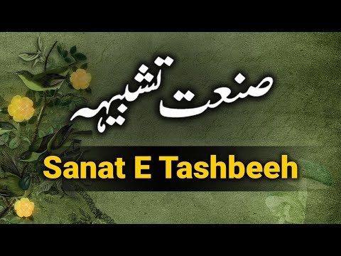 Sanat E Tashbeeh Example In Urdu | Arkan E Tashbeeh Aur Tareef | Urdu Grammar